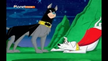 krypto batman dog