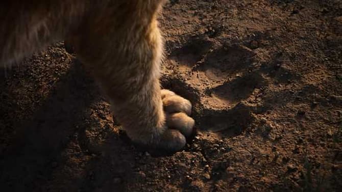 THE LION KING: Simba Learns About The Circle Of Life In New Footage ...