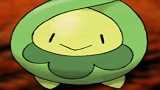 Fans Of Baby Pokemon Will Be Happy To Know That Budew Is Now Available ...