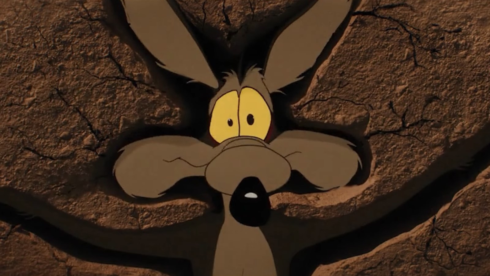 Coyote vs. ACME Trailer Teaser Reveals The Movie Warner Bros. Didn't ...