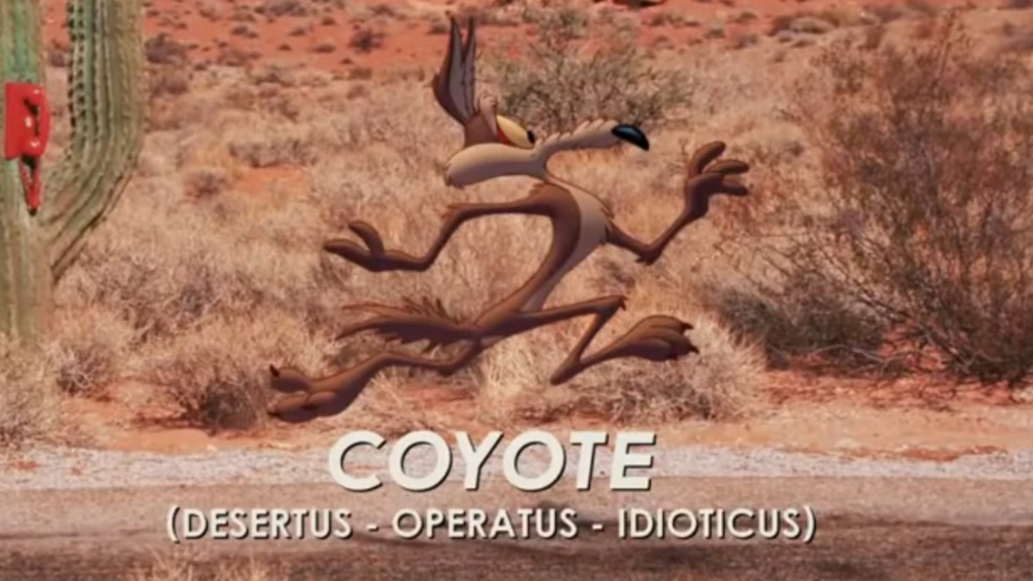 New Image And Details From COYOTE VS. ACME Released; Director Addresses ...